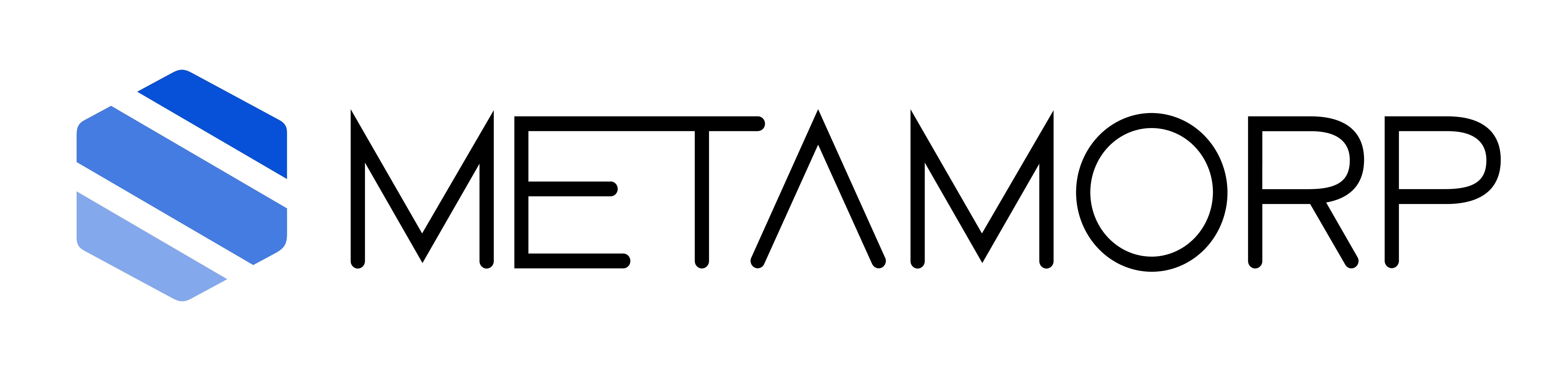 DENTNER × METAMORP Landing